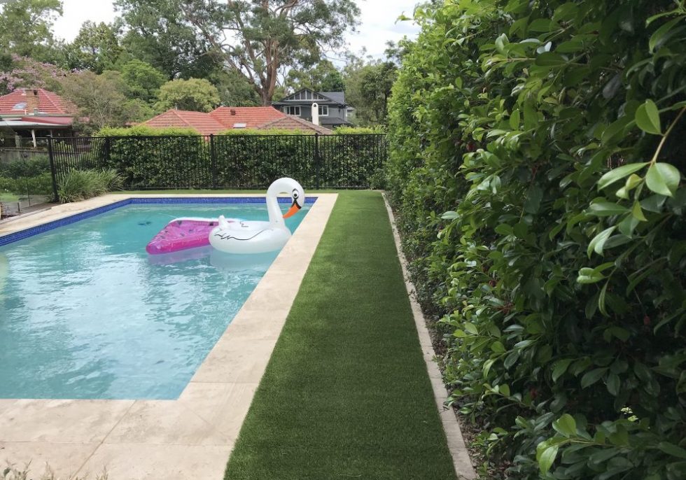 Pool Surrounds - Crown Synthetic Grass